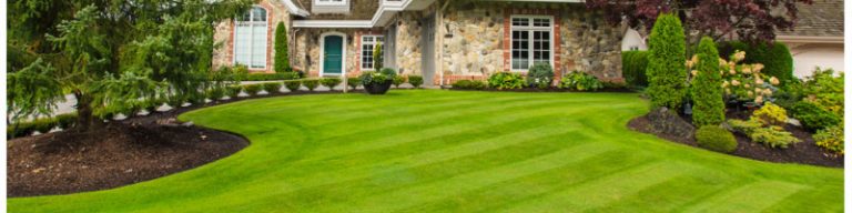 Lawn Care | Natures Touch Landscaping Lawn Care | Natures Touch Landscaping